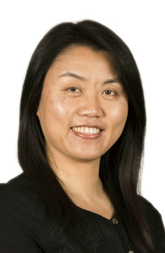 SCRI People | Otto Poon Charitable Foundation Smart Cities Research ...