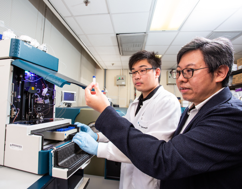 Message from Head | School of Optometry