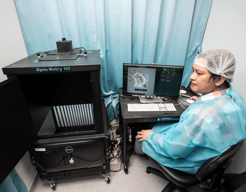 Impactful Knowledge Transfer | School of Optometry