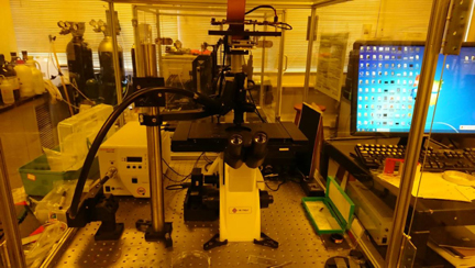 Maskless Exposure System with Bio-fabrication Platform (Omnicure) | UMF